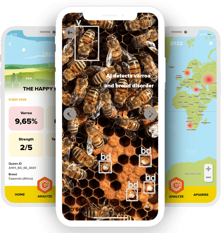 BeeScanning – Ett revolutionerande verktyg för biodlare - Gislen Software